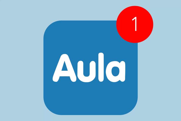Aula sees five million parent logins a week – fathers are conspicuously ...