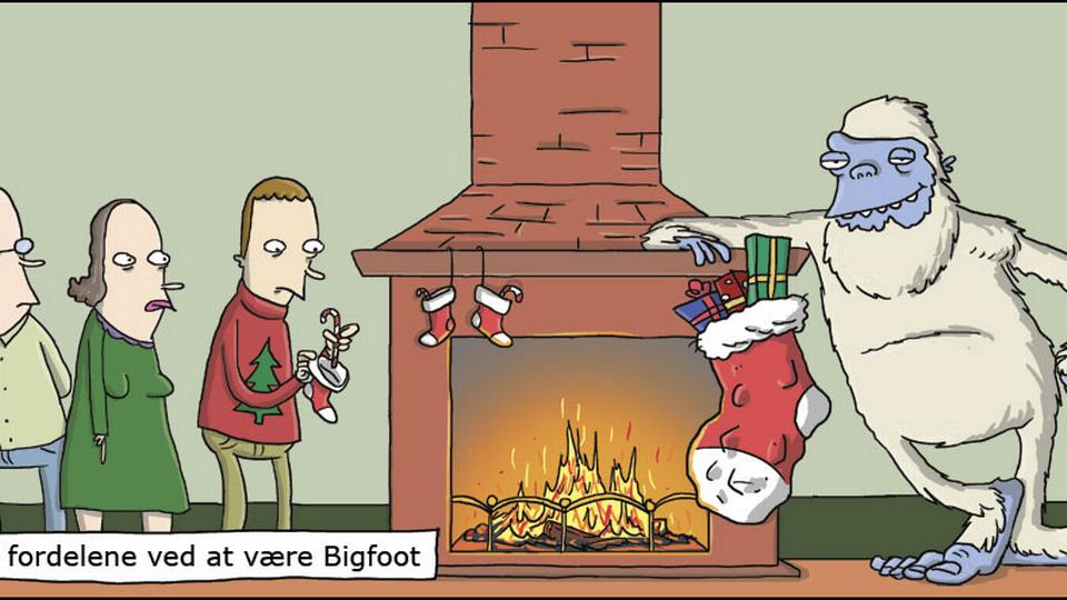 Wulffmorgenthaler 20/12 - politiken.dk