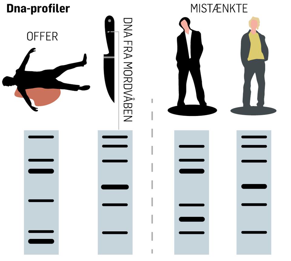 Ny dna-analyse kan måske fælde Emilie Mengs morder - politiken.dk