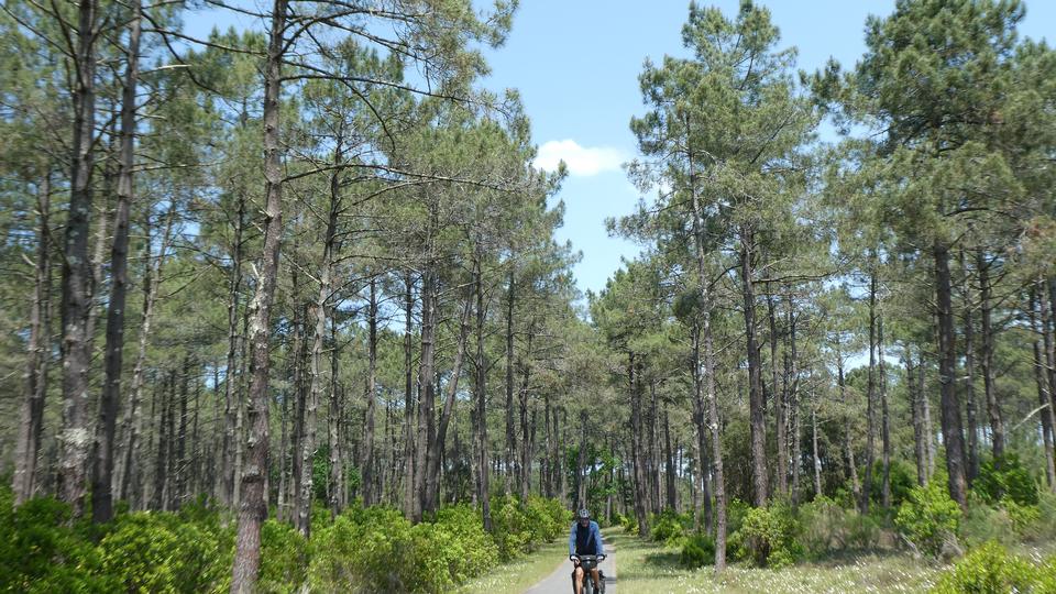 2.100 kilometer på cykel: Elsa og Rasmus tog turen på to hjul langs den ...