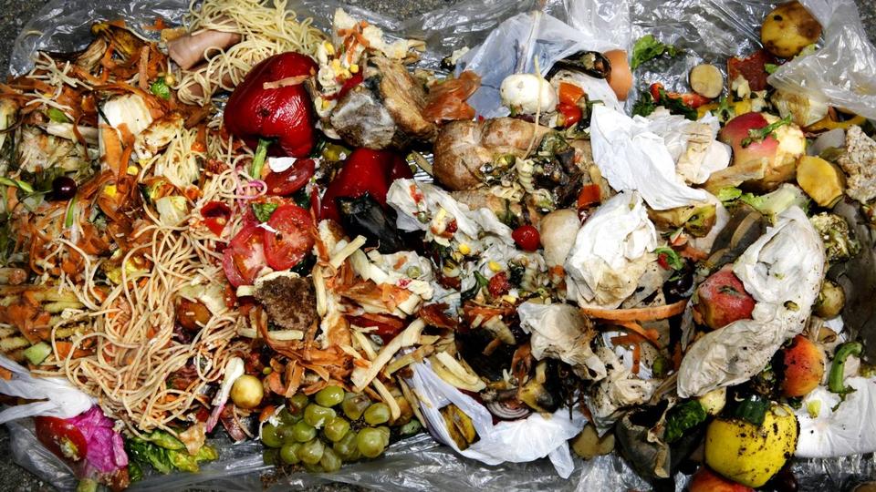 Ministerium har rodet i skraldespande: Vi smider hver 42 kilo spiselig ...