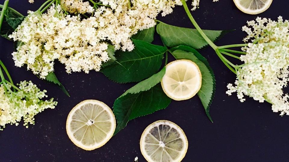 Løb ud og pluk. Her er den bedste hyldeblomstsaft - politiken.dk